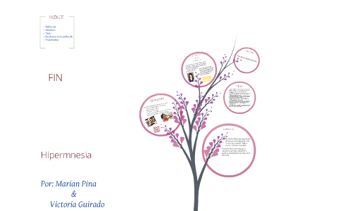 Hipermnesia by Marian Pini Pina on Prezi