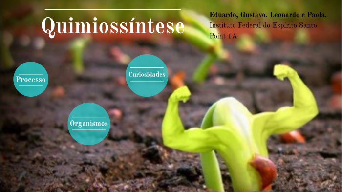 Quimiossintese by Paola Seibel on Prezi