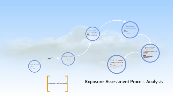 Exposure Assessment Process Analysis by Asmaa Salman on Prezi