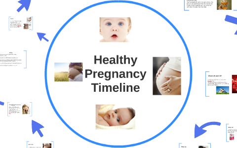Healthy Pregnancy Timeline by Mikayla Mundy on Prezi