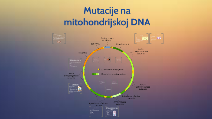 Mutacije na mitohondrijskoj DNA by Iva Šutevski on Prezi