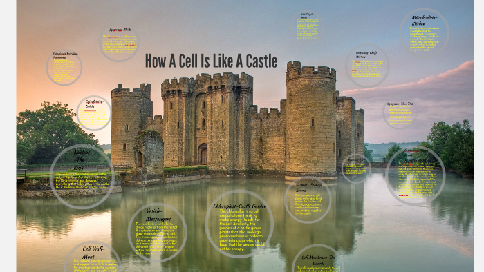 How A Cell Is Like A Castle by Amy Truong on Prezi