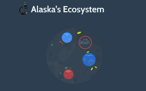 Alaska's Ecosystems by Whitney Hamilton on Prezi