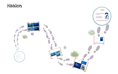 Haaien spreekbeurt by kagan usenti on Prezi
