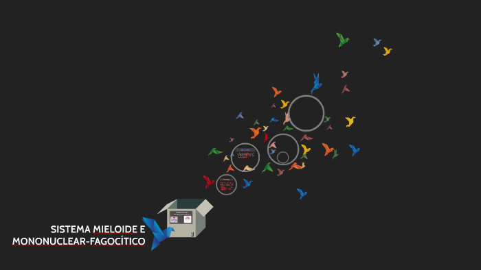 SISTEMA MIELÓIDE E MONONUCLEAR-FAGOCÍTICO by PAOLA DA SILVA on Prezi