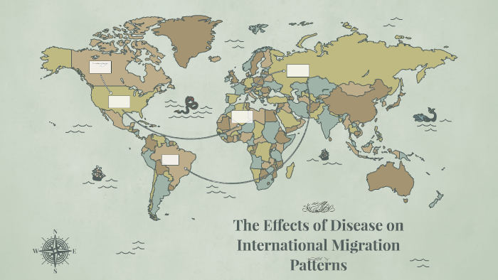 The Effects of Disease on International Migration Patterns by Leander ...