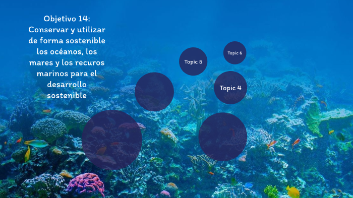 Objetivo 14: Conservar y utilizar en forma sostenible los océanos, los mares y los recursos ...