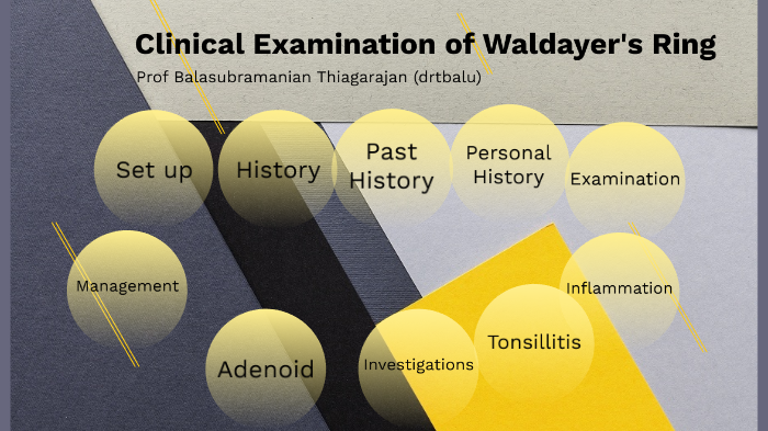 Waldayer's ring examination by Balasubramanian Thiagarajan on Prezi