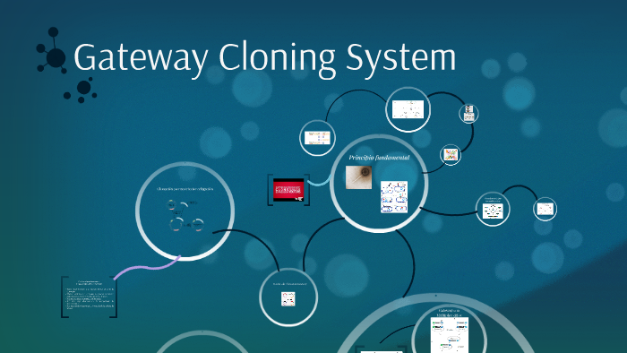 Gateway Cloning System by Henry Zubieta Hernandez on Prezi
