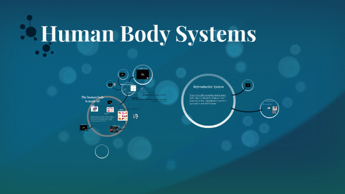 Unidad didáctica: Human Body Systems by Begoña Lombardero Senra on Prezi