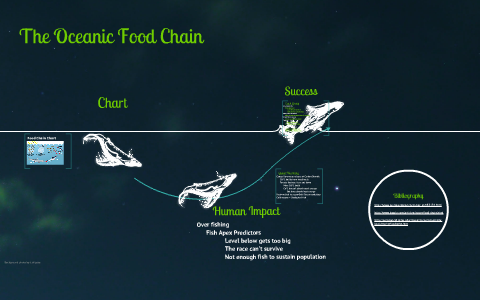 The Oceanic Food Chain by Lexi Thammavong on Prezi