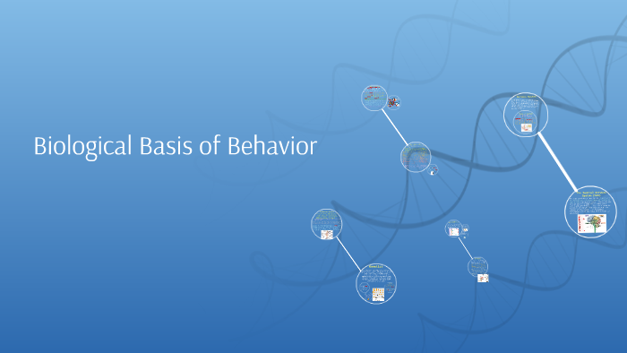 AP Psychology: Biological Basis of Behavior by Katharine Higgins on Prezi