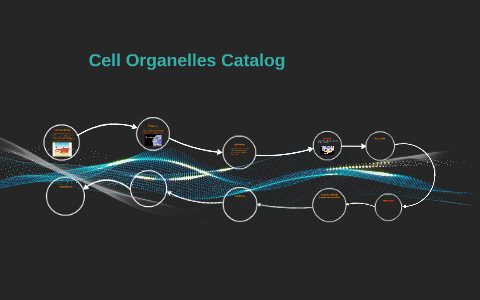 Cell Organelles Catalog by Austin cox on Prezi