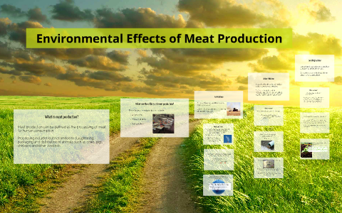 Environmental Effects of Meat Production by Stasea Stewart on Prezi