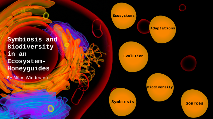 Symbiosis and Biodiversity in and Ecosystem by Miles Wiedmann on Prezi
