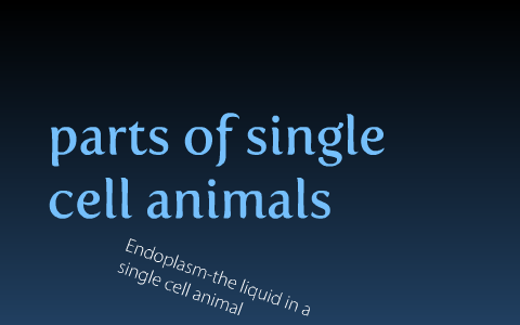 Parts of Single Cell Animals by oc acr on Prezi