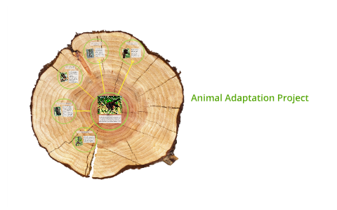 Animal Adaptation Project by tim burrage on Prezi