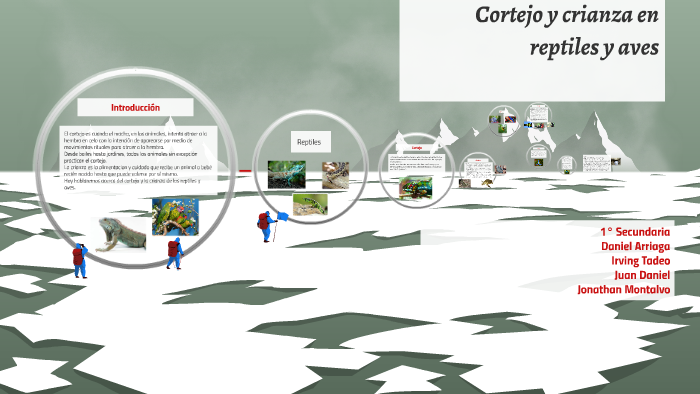 Cortejo y crianza en reptiles y aves by Daniel Arriaga on Prezi