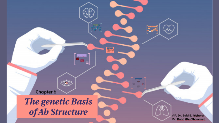 The genetic Basis of Ab Structure by Yasmeen Yahya on Prezi