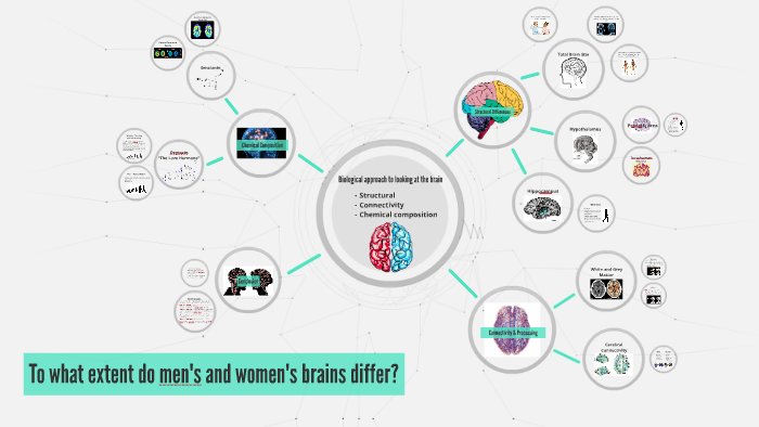 Differences Between Men's and Women's Brains by Felicia Lee on Prezi