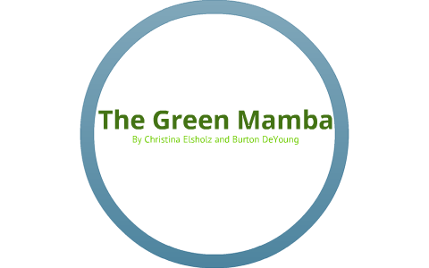 The Green Mamba by Christina Elsholz on Prezi
