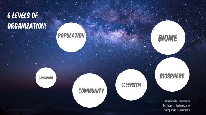 6 levels of organization. by Drixybabies ! on Prezi
