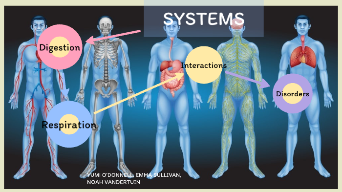 SYSTEMS MIND MAP by Yumi O'Donnell on Prezi