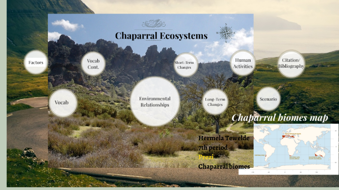 chaparral Biomes by Hermela Tewelde on Prezi