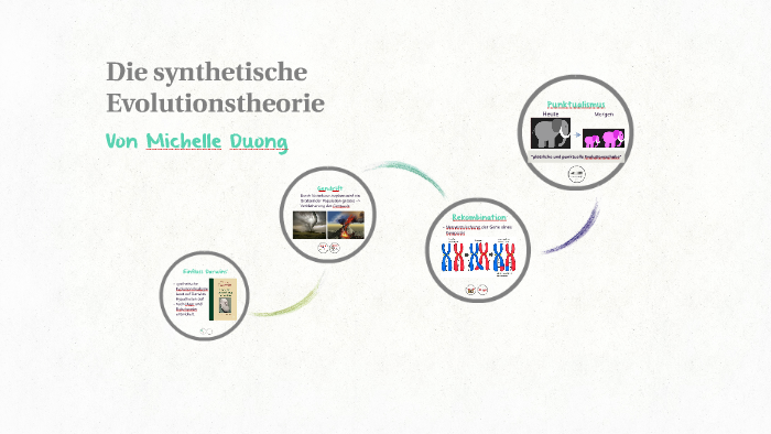 Die synthetische Evolutionstheorie by Michelle Duong on Prezi
