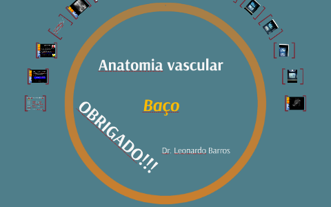 anatomia vascular baço by Warlley Müller on Prezi