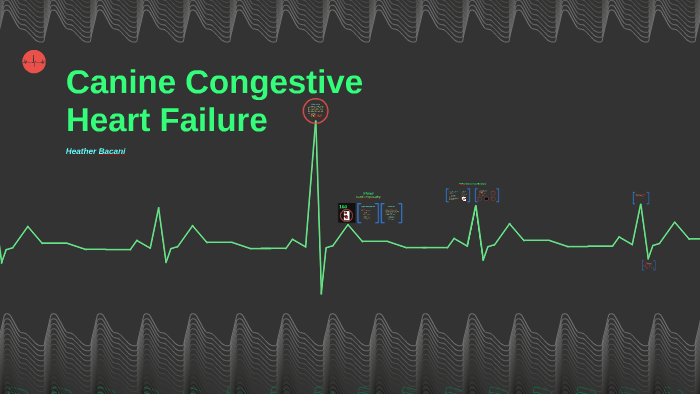 Canine Congestive Heart Failure by Heather B