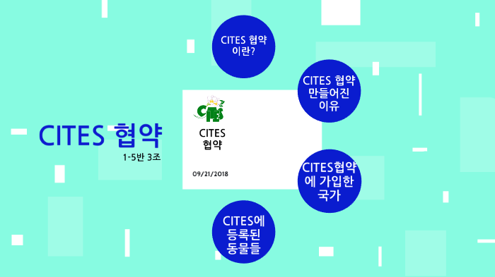 cites by 김민재 on Prezi
