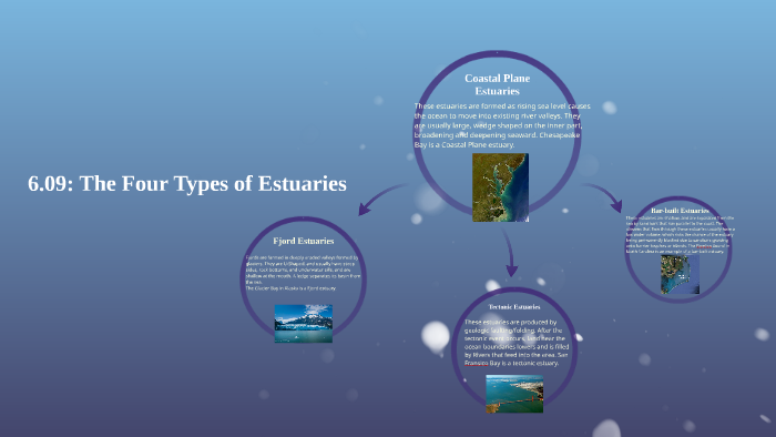 Types of Estuaries by Gabriel Larkins on Prezi
