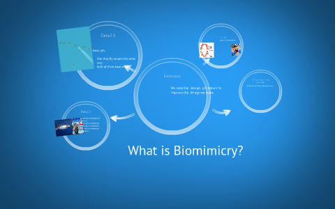 what is Biomimicry? by on Prezi