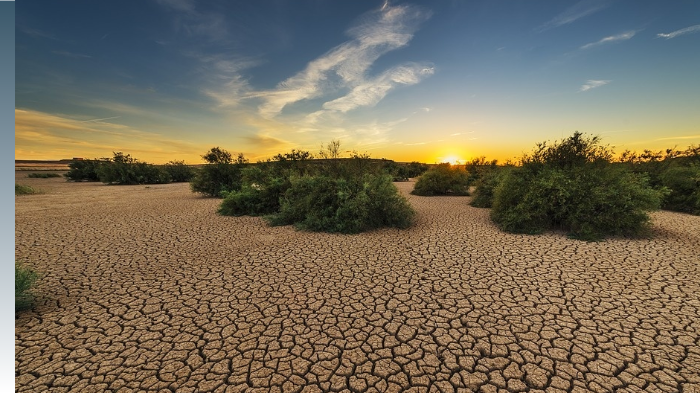 Solurile zonei tropicale by proiectele elenei on Prezi