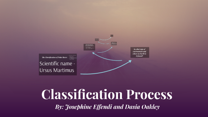 Classification Process by Josephine Effendi on Prezi