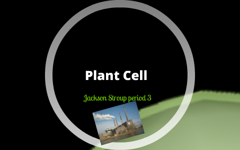 3rd Period- Jackson Stroup by Jackson Stroup on Prezi