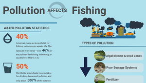 Pollution Affects Fishing: Multimedia Poster by Bridget Schmainda on ...