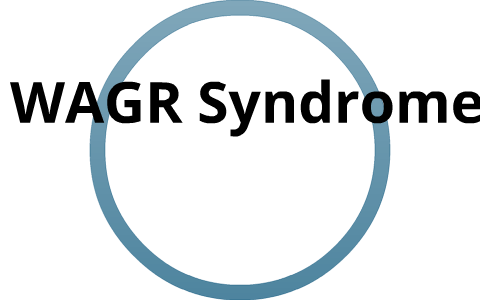 WAGR Syndrome by Christa Cathey on Prezi