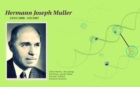 Hermann Joseph Muller by Oshin Sharma on Prezi