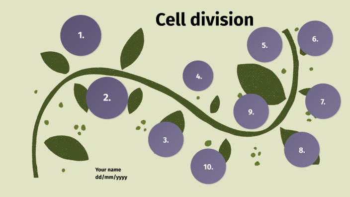 Cell Division Poster by Stacy Velez on Prezi
