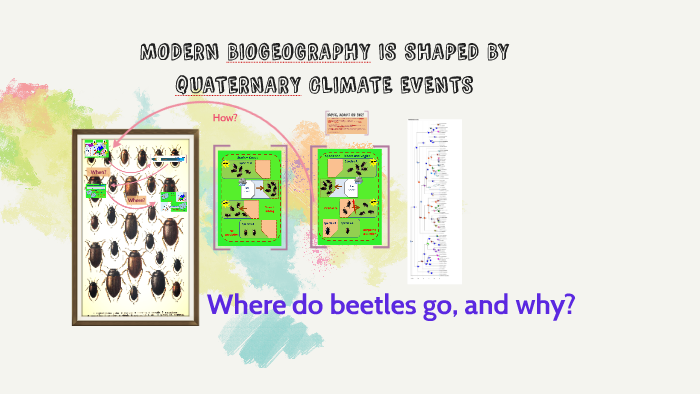 MODERN BIOGEOGRAPHY IS SHAPED BY qUATERNARY CLIMATE EVENTS by mg milne ...