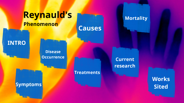 Raynauld's Phenomenon by Kelly Mamula on Prezi