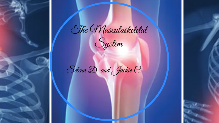 The Musculoskeletal System by Selena Dupont on Prezi