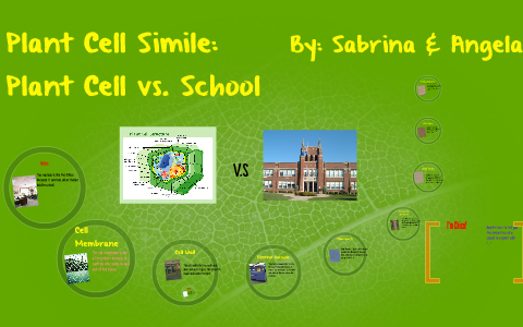 Plant Cell Simile: by Angela S. on Prezi