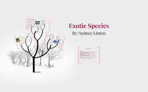 Exotic Species by Sydney Linton on Prezi