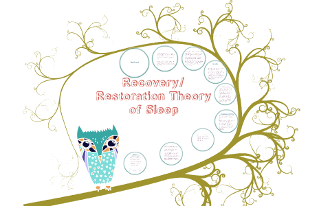 Recovery/Restoration Theory of Sleep by Natalie Maybury on Prezi