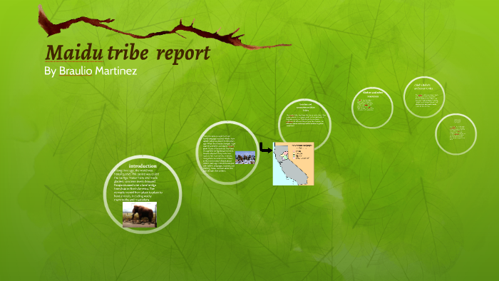 Maidu tribe report by Braulio martinez on Prezi