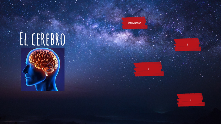 El Cerebro By Itza Martínez Zempoateca On Prezi