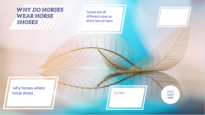 WHY DO HORSES WEAR HORSE SHOSES by tyla dooley on Prezi